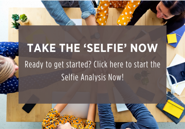 Online Self Assessment Guide - Nonprofit Lifecycles Institute
