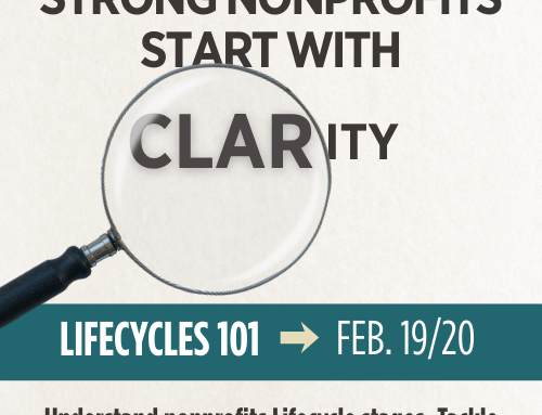 What is Nonprofit Capacity Building? - Nonprofit Lifecycles Institute